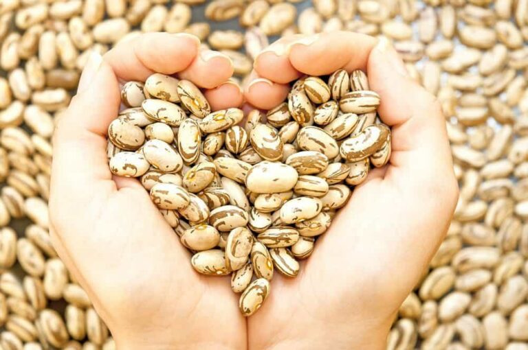How to Eat Legumes, and ten favorite legumes to try | GreenSmoothieGirl