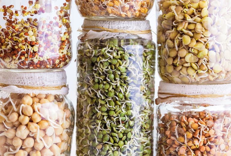 Sprouting 101: How To Sprout Grains, Nuts, & Seeds At Home