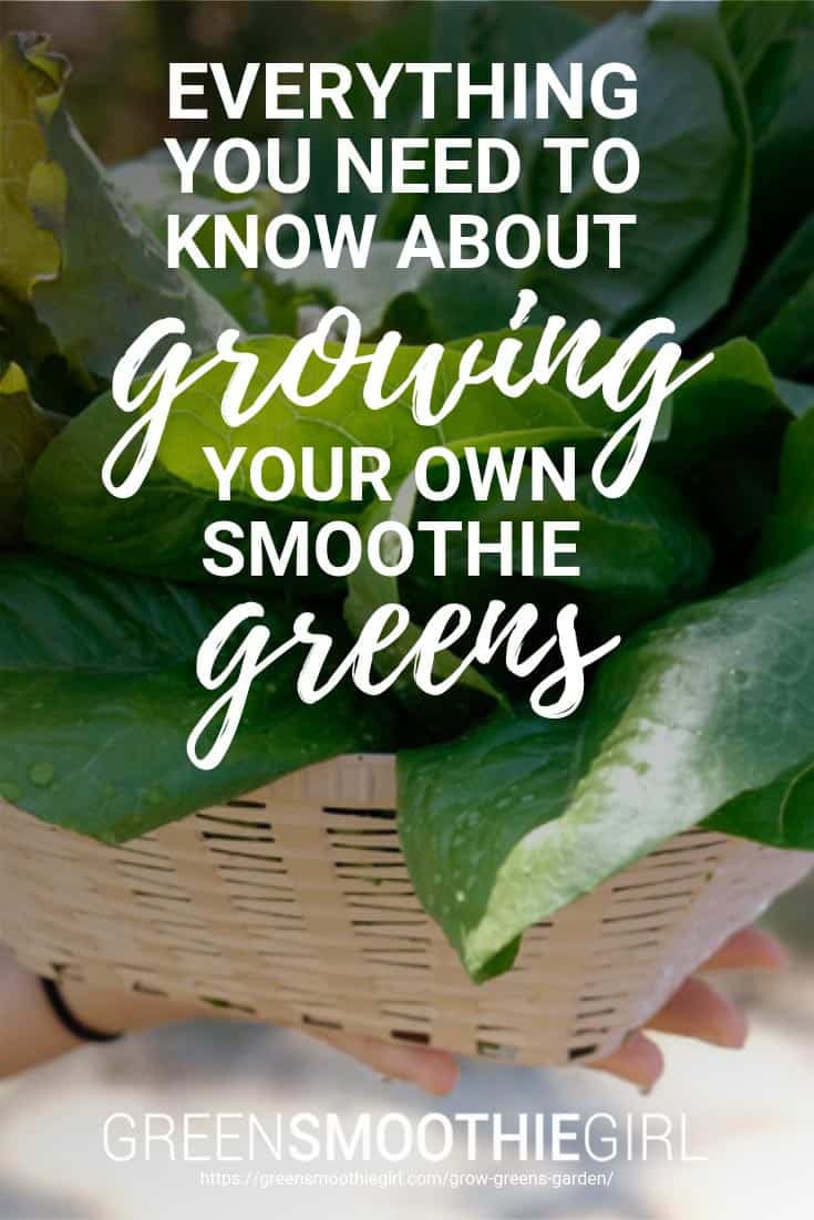 Everything You Need To Know About Growing Your Own Smoothie Greens ...