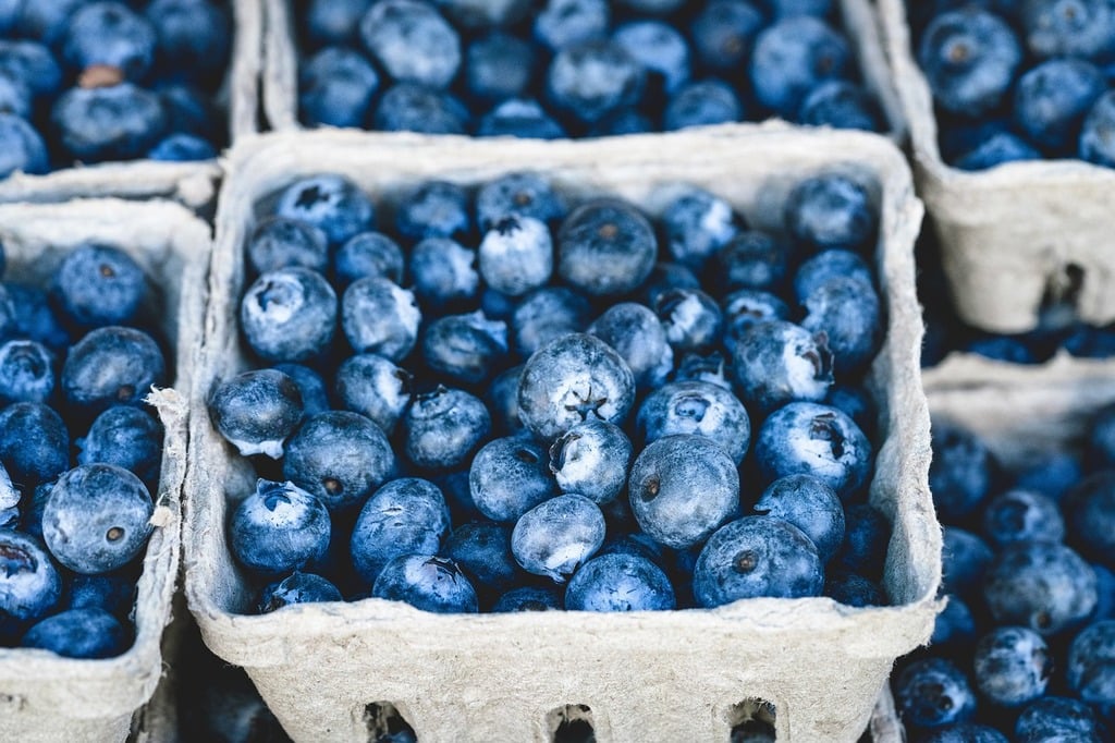 Amazing Ways Berries Boost Your Brain Health