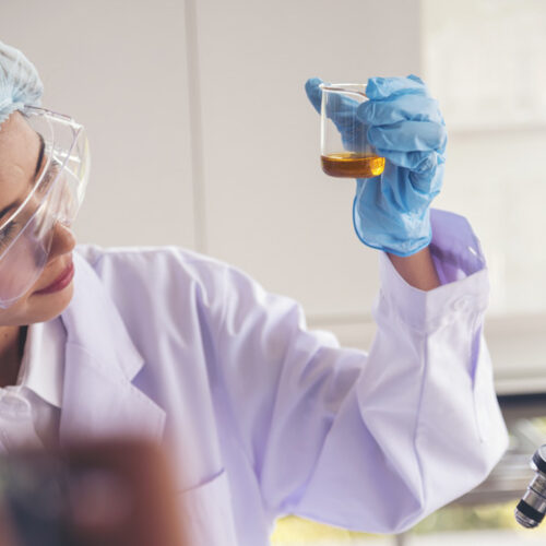 The Ultimate Green Smoothie Guide - My Best Recipes