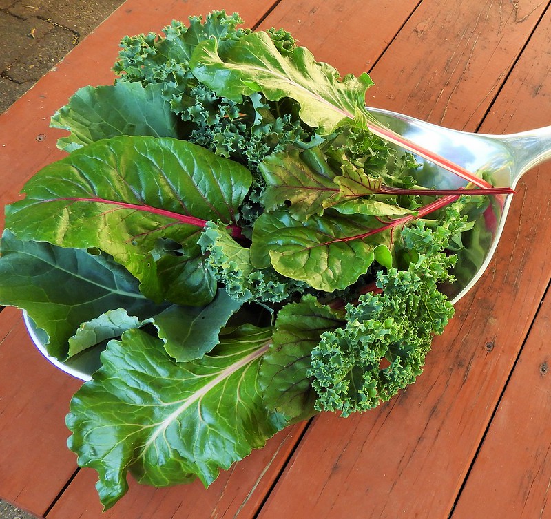 23 Reasons to Eat More Leafy Greens